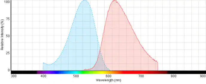 EthD-1 (同二聚乙锭-1,Ethidium Homodimer-I) - 知乎