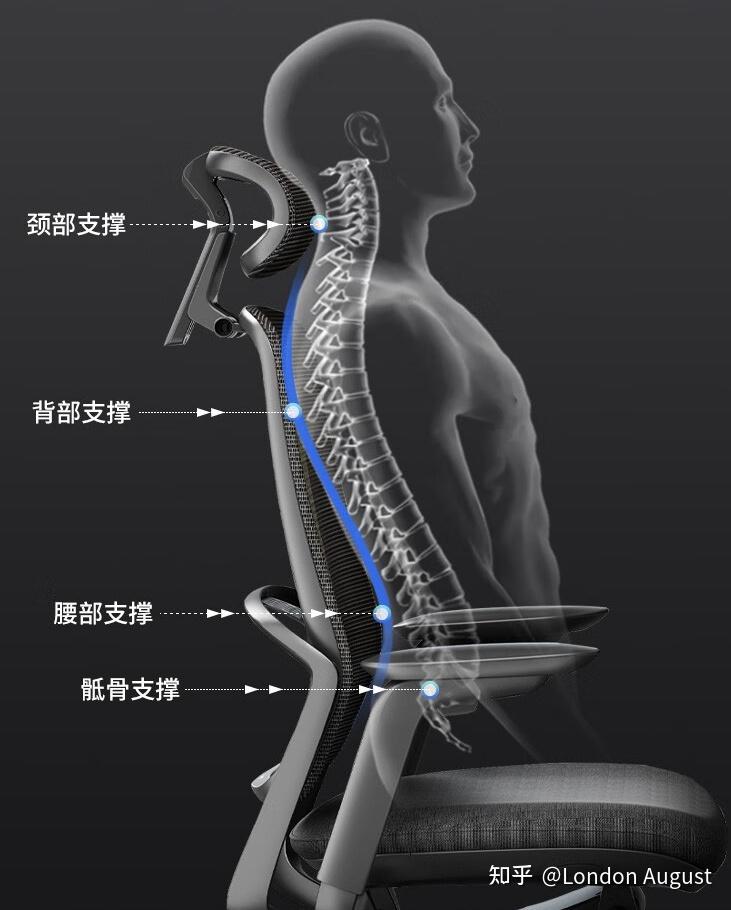 2025年人体工学椅品牌系列（11）黑白调人体工学椅推荐，黑白调人体工学椅怎么样？有哪些值得推荐？黑白调P2Pro/黑白调E2Pro/黑白调E3Pro4代全面解析 - 知乎