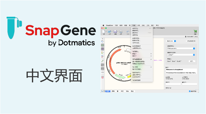 如何切换SnapGene的语言界面？ - 知乎
