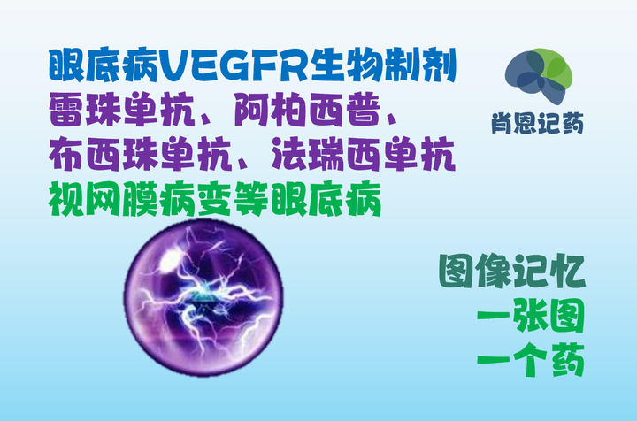记住所有FDA生物药 | 眼科用VEGFR | 雷珠单抗、阿柏西普、布西珠单抗、法瑞西单抗 | 眼底病 - 知乎
