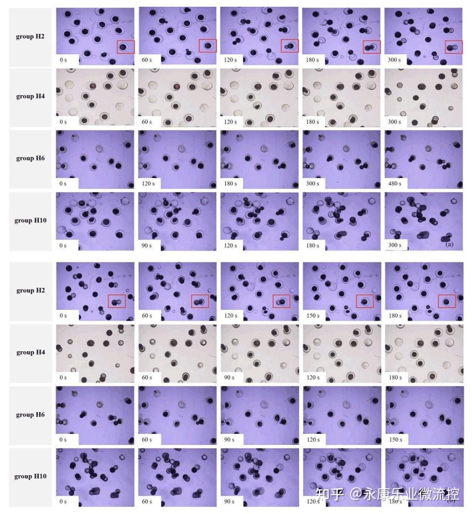 “智能自爆”PNIPAM微胶囊：西南石油大学团队解锁脂溶性药物快速按需释放新方式 - 知乎