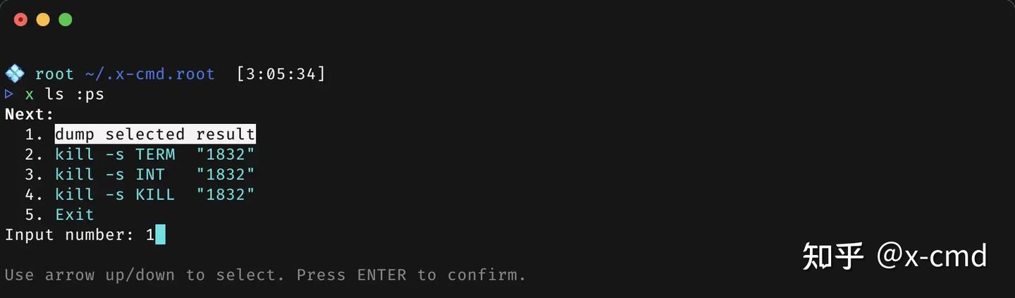 🧩 x-cmd mod | x ls (2) - 轻松查看系统资源信息，进程、内存与 CPU 状态一目了然 - 知乎