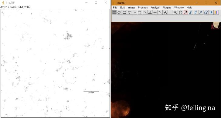 荧光强度统计方法（imageJ软件分析） - 知乎