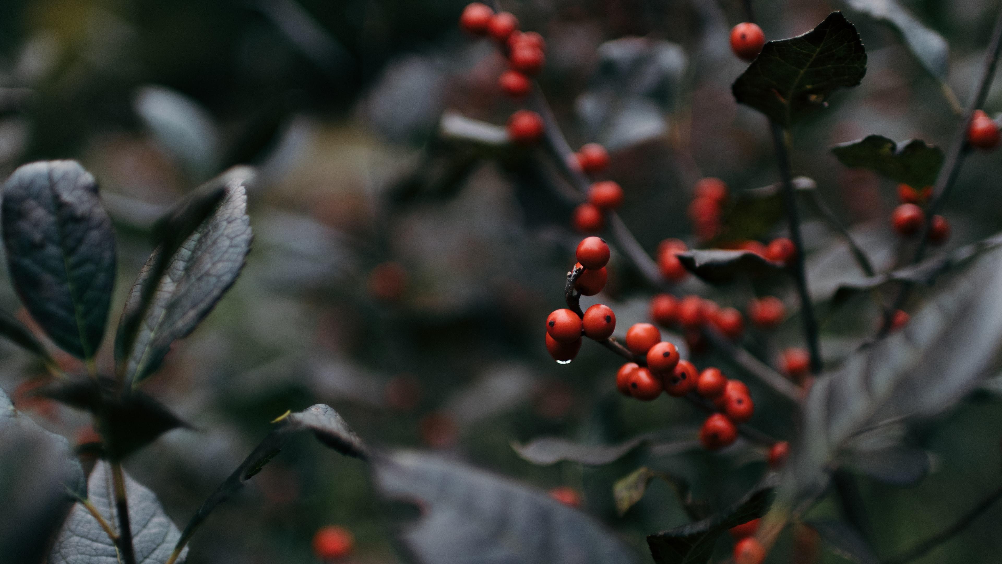 P25Web前端：布局练习 - 知乎