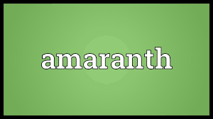 Amaranth HDL - 知乎