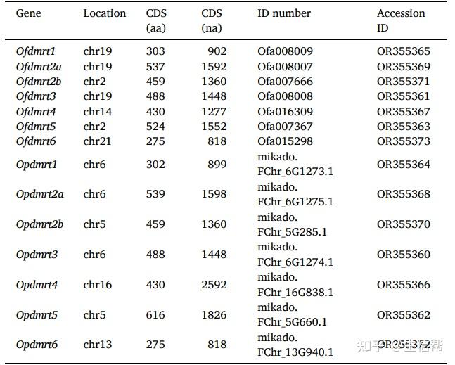 基因家族-DMRT基因家族揭示了斑石鲷杂交染色体(Y)中性别分化调节的新见解 - 知乎