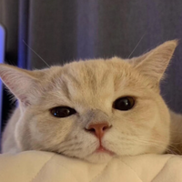 [latex2word]用python将latex公式插入到word文档 - 知乎