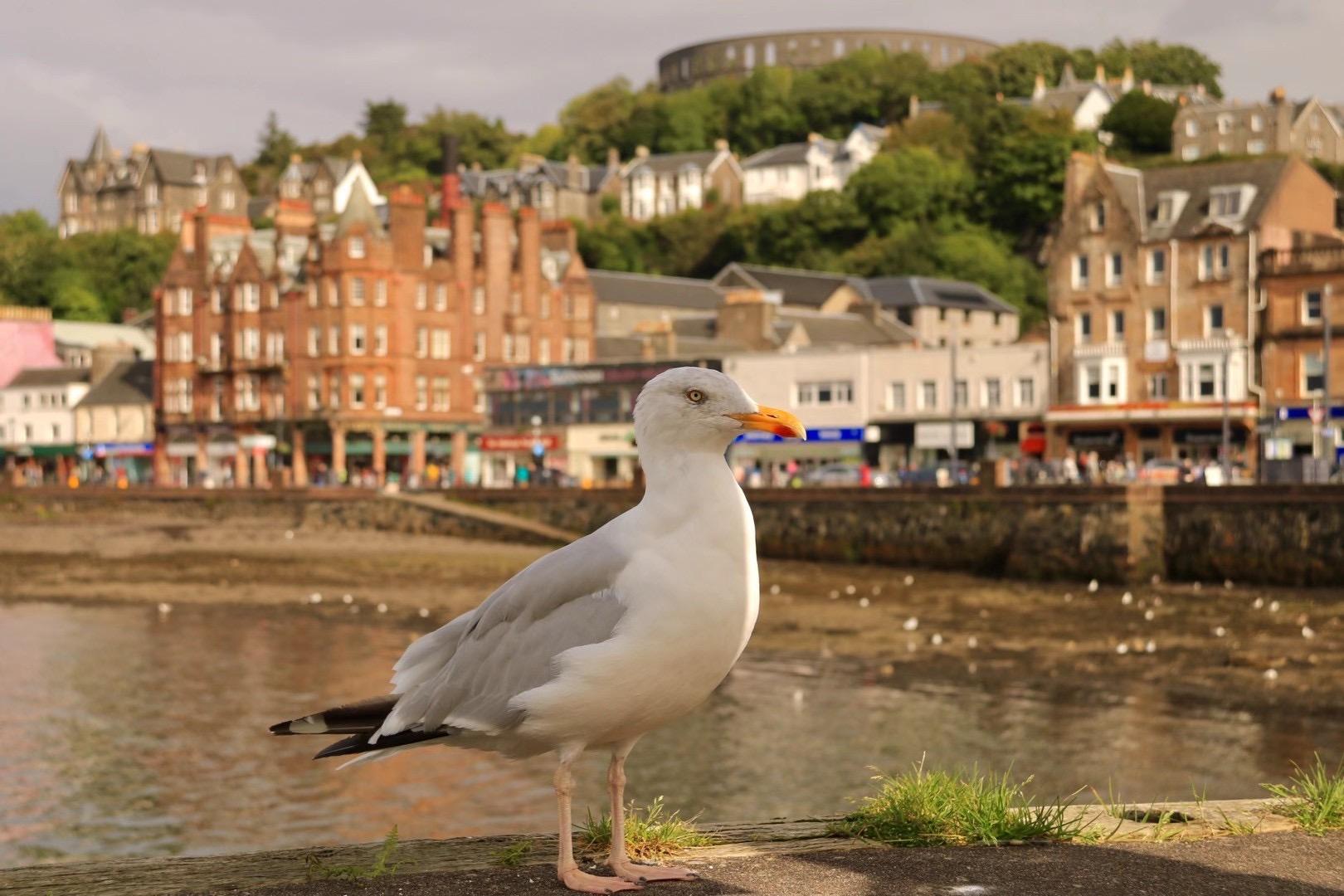 SENTIX:跨领域情感分析预训练模型 - 知乎