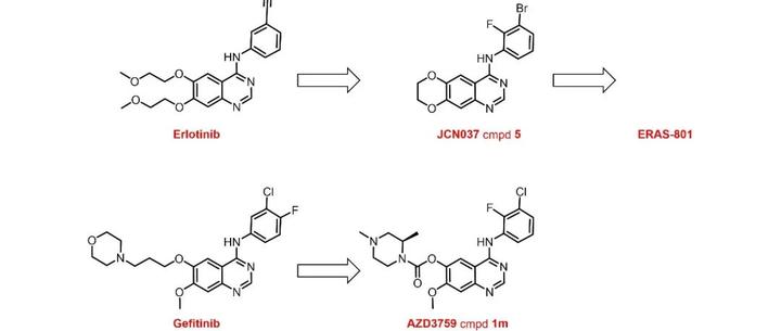 脑穿透EGFRi, 两个case study - 知乎