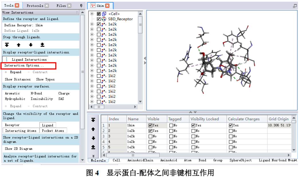 Discovery Studio 图文操作详细教程 Tutorials - 知乎