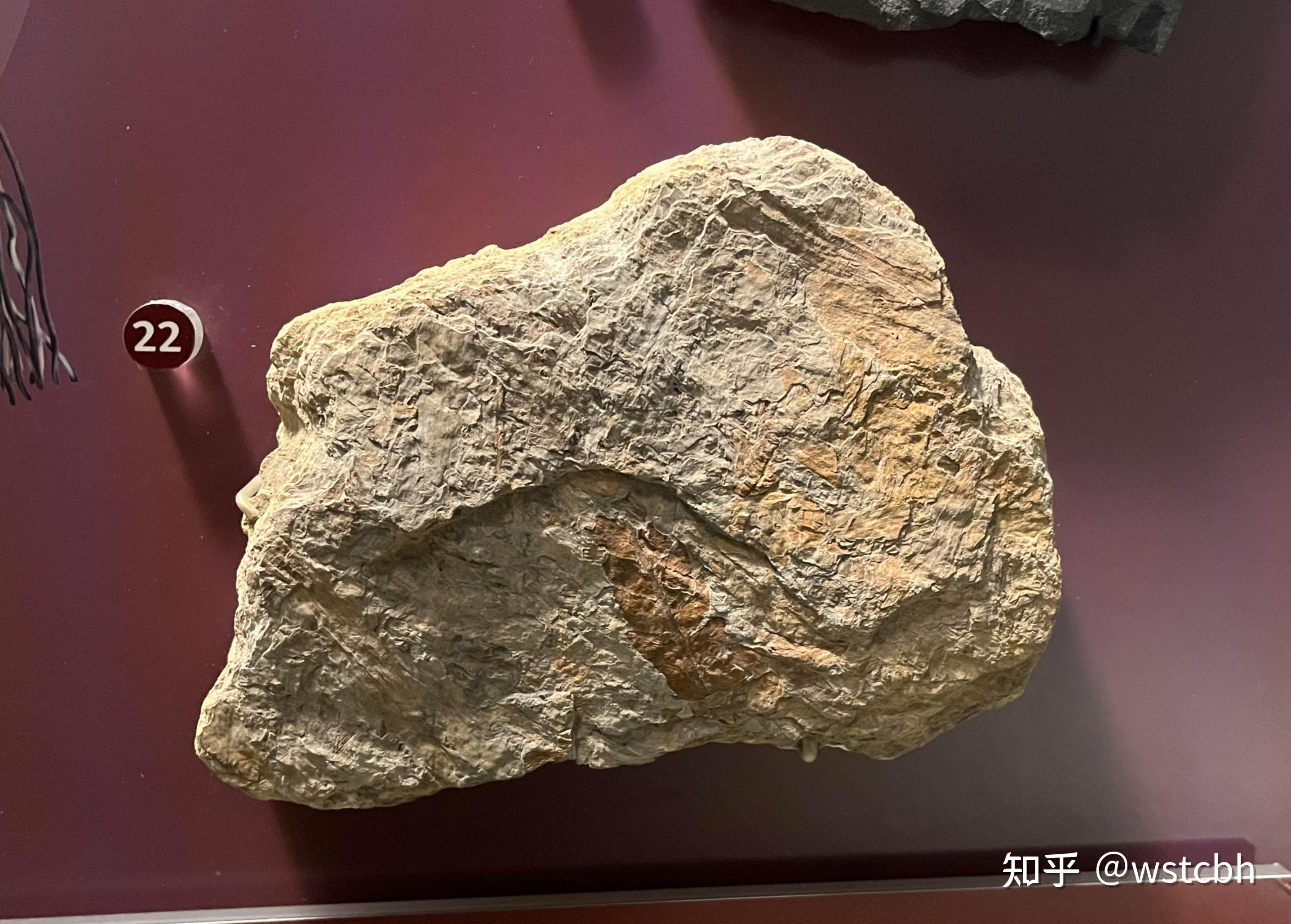 地球发展史？白垩纪，侏罗纪，三叠纪二叠纪。等等！是什么先后顺序？ - 知乎