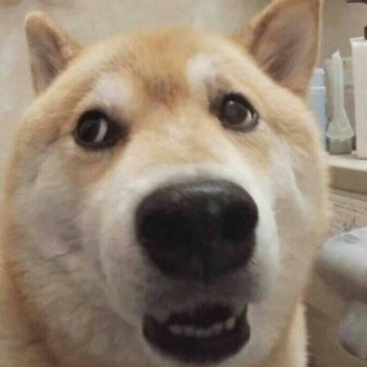 【java每日分享 1】 Datetimeformat 和 Jsonformat区别和作用吗? 知乎