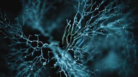 DeepLearning-BP神经网络(numpy从零实现详解) - 知乎