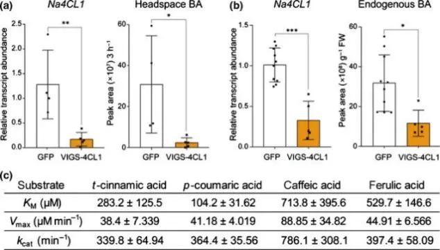 New Phytol | 野生烟草花冠细胞的单细胞RNA测序揭示花香的生物合成途径 - 知乎