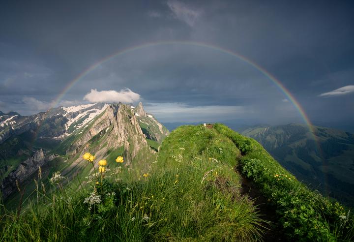 基于Doc2Vec的Markdown文档分类实战：从预处理到模型评估 - 知乎