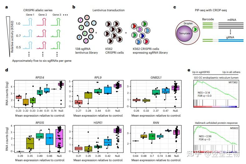 新技术分享：PIP-seq，无需配套仪器的单细胞实验！ - 知乎