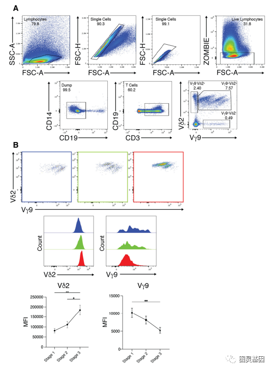 Sci Immu | γδ T细胞如何发育和产生免疫反应 - 知乎