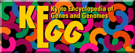 KEGG数据库 - 知乎