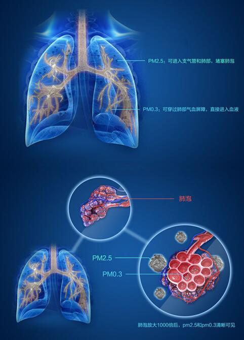 Pm2.5和pm0.3的区别是什么？谁的危害更大？ - 知乎
