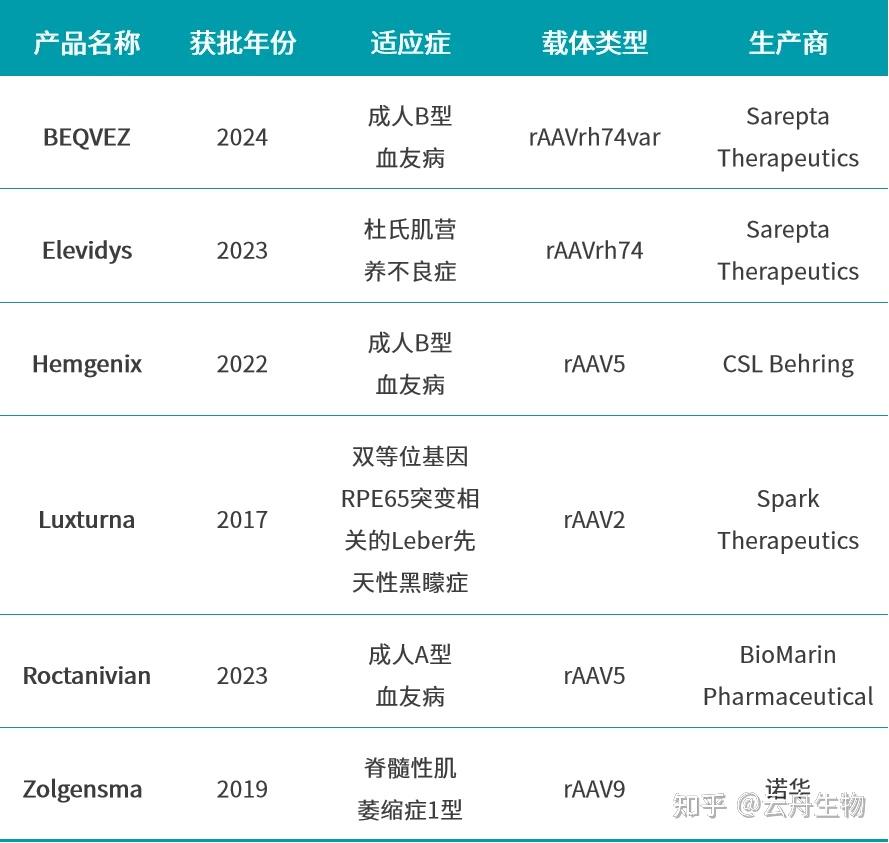 干货分享｜深度解析AAV载体在基因治疗中的原理、实践与前景 - 知乎