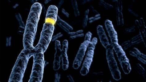 黑素皮质素多肽药物能否成为首个治疗“XP”的药物？Afamelanotide最新研究显示有望保护和治疗“月亮之子” - 知乎