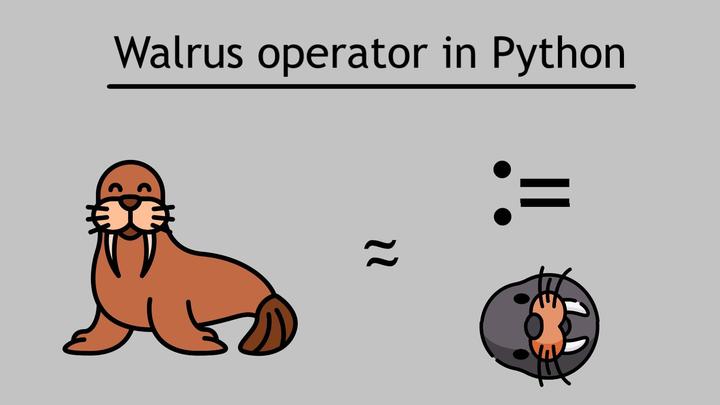 Python中的海象运算符“ ”使用方法详解 知乎