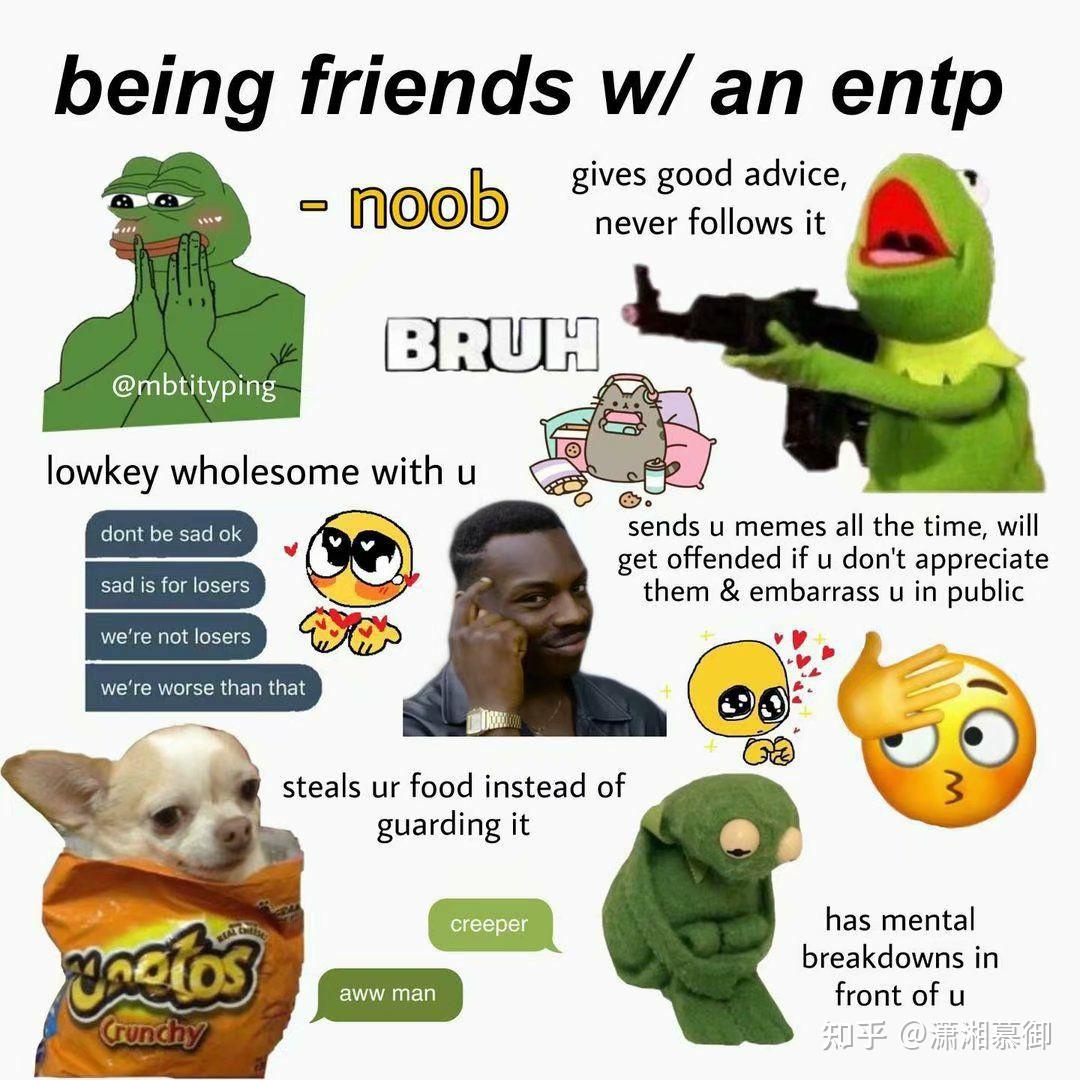 有没有ENTP的相关meme? - 知乎