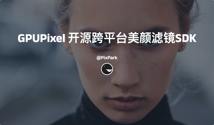 跨平台C++实时美颜滤镜库GPUPixel - 知乎