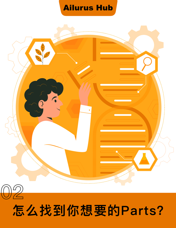 Ailurus Hub | 怎么找到你想要的iGEM Parts - 知乎