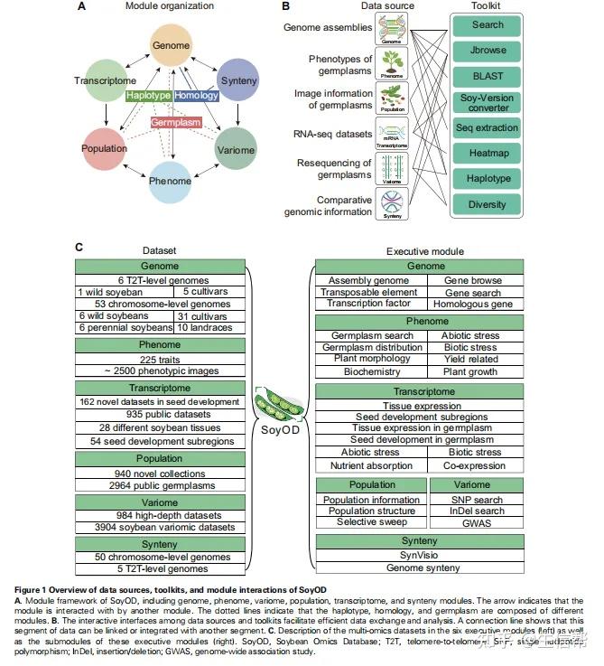 【数据库】SoyOD：大豆多组学整合数据库 - 知乎