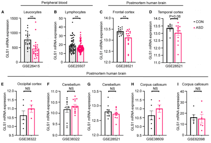 项目文章 | 单细胞多组学揭示前脑神经元Gls1缺乏导致自闭症谱系障碍样行为 - 知乎