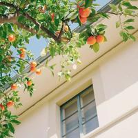 UserWarning: The environment variable `OMP_NUM_THREADS` not set. - 知乎