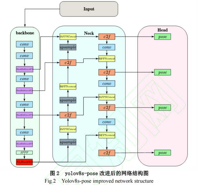 改进 YOLOv8s-Pose 多人姿态估计轻量化模型研究 - 知乎