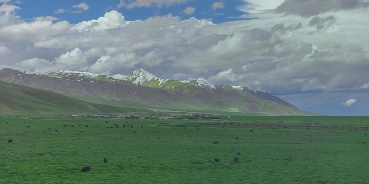 隐藏在Flan 2022 Collection中的一些细节 - 知乎