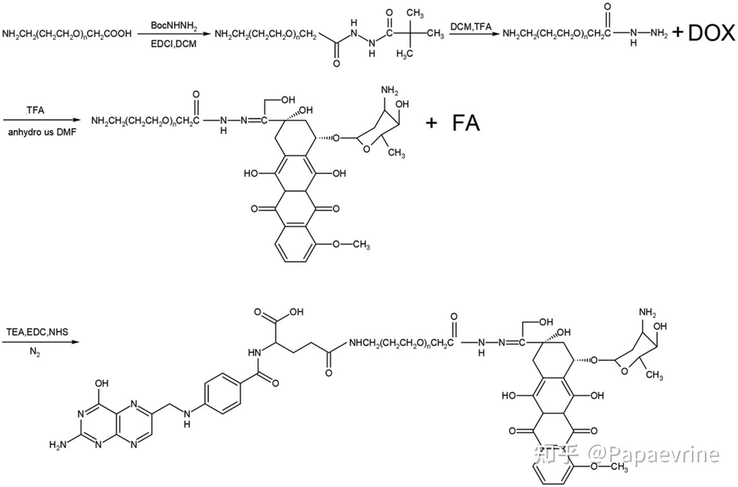 第一篇n作文章 - 知乎
