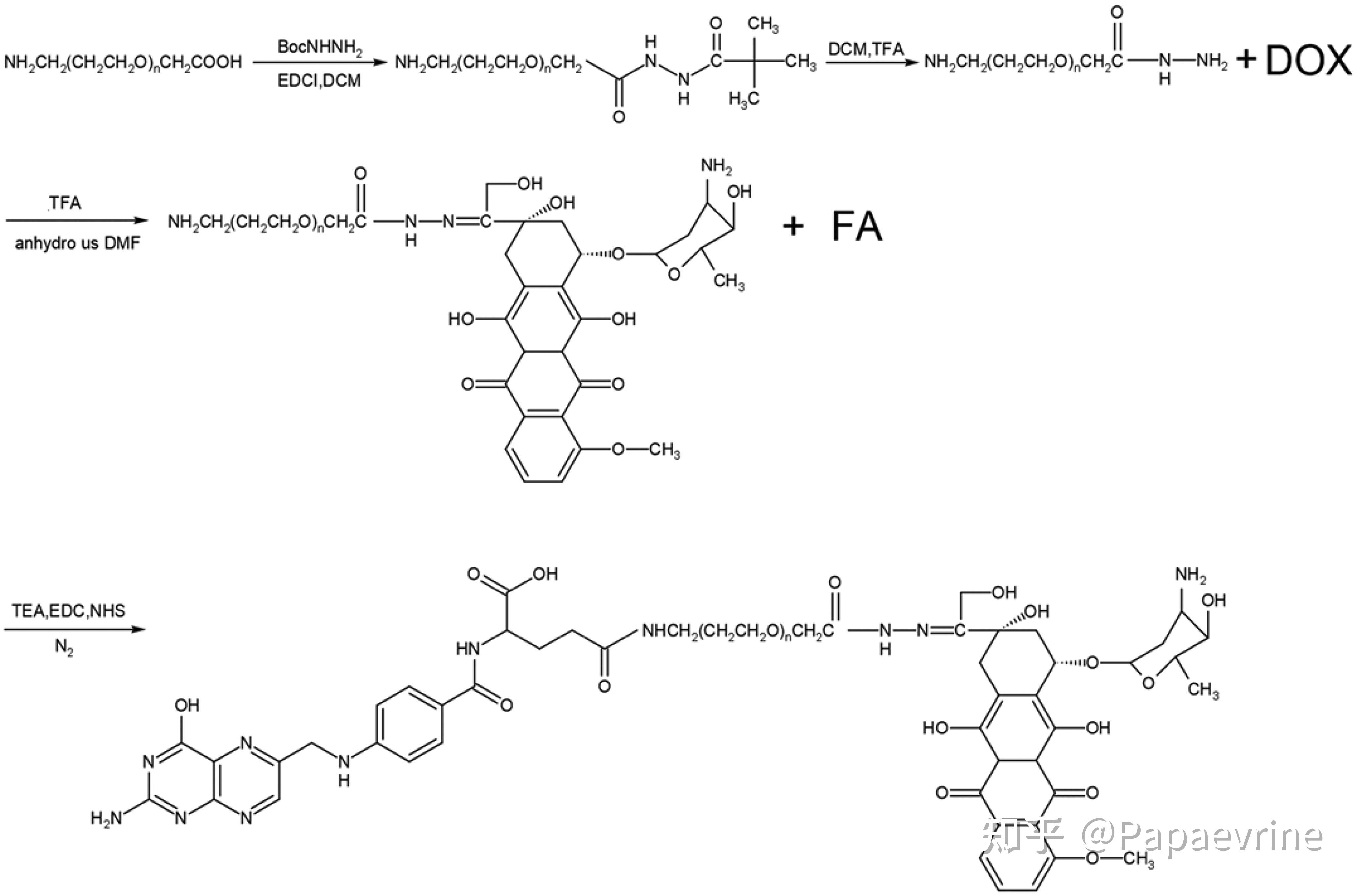 第一篇n作文章 - 知乎