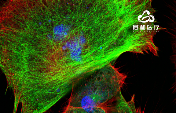 AF594 NHS | 荧光染料 - 知乎
