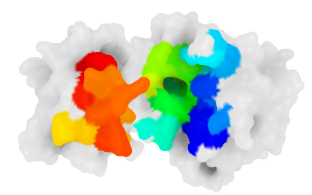 PyMOL必备绘图技巧，从此游刃有余！ - 知乎