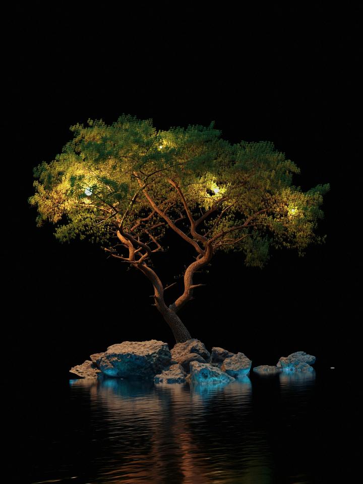 浅析nginx实现websocket原理 - 知乎