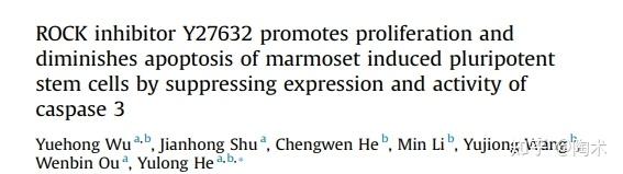 TargetMol明星分子——Y-27632 & Y-27632 2HCl - 知乎