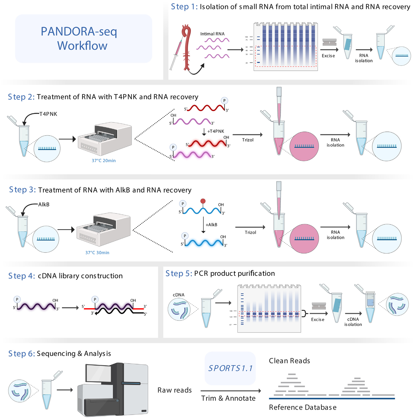 Pandora-Seq - 知乎