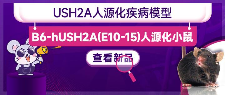 Usher综合征疗法研究的最佳选择：USH2A人源化疾病模型 - 知乎