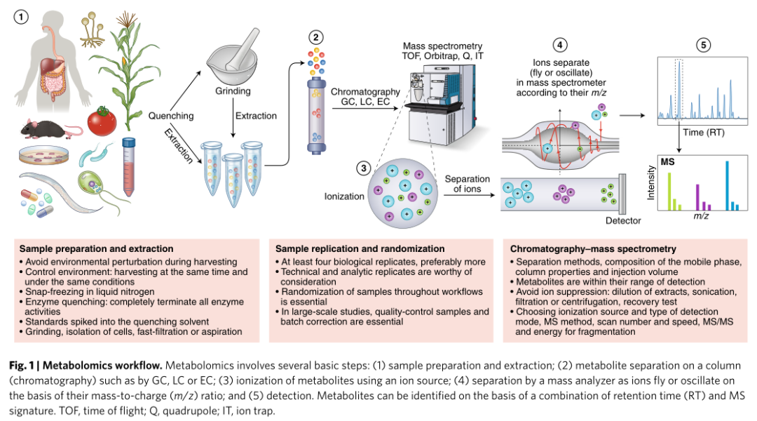 经典重读丨Nat Methods基于质谱的代谢组学 - 知乎