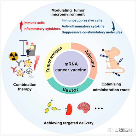 【耀文解读】一文读懂|mRNA癌症疫苗的递送系统类型 - 知乎