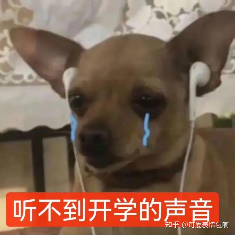 窝补药开学表情包 - 知乎