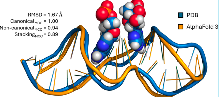 ACS | 借助 AlphaFold 3实现 DNA 和 RNA Aptamer 的直接建模 - 知乎