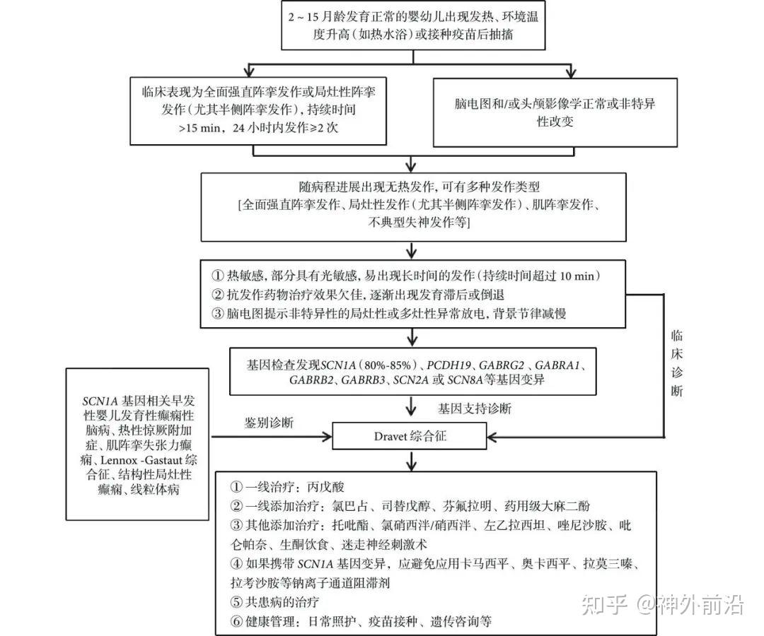 全文 | Dravet 综合征诊断与治疗的中国专家共识 - 知乎