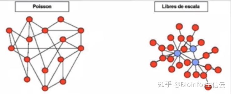 WGCNA的原理和分析步骤 - 知乎
