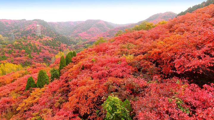 12星座里面有哪几个星座在单身的时候反而充满魅力的? 知乎