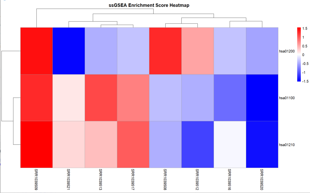 转录组学05｜三类富集方法详解：GSEA、GSVA 与ssGSEA(下) - 知乎
